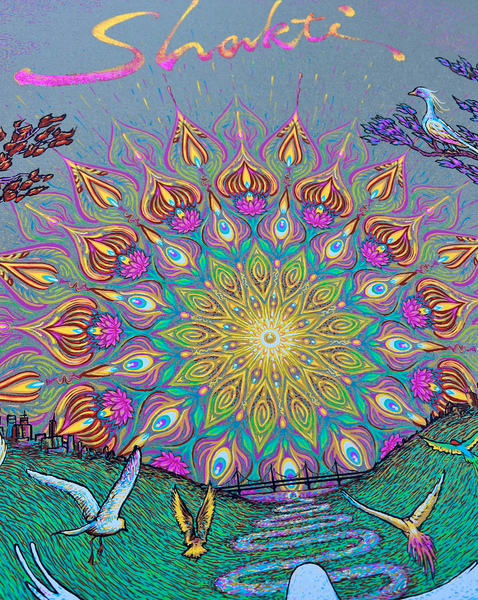 Shakti 50th Tour Poster - Artist Editions – Spusta Studio Shop